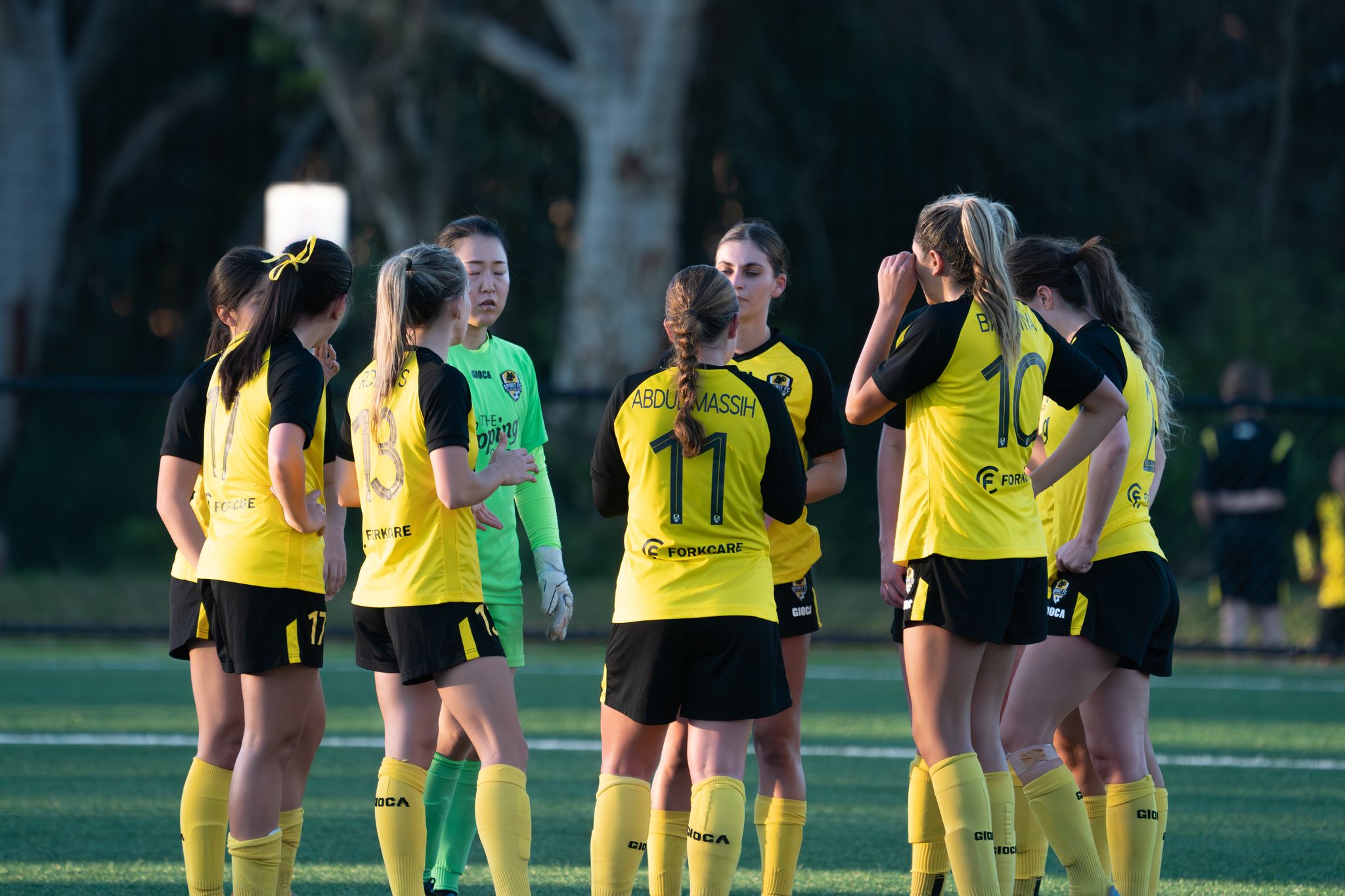 Senior Womens - NWS Spirit FC